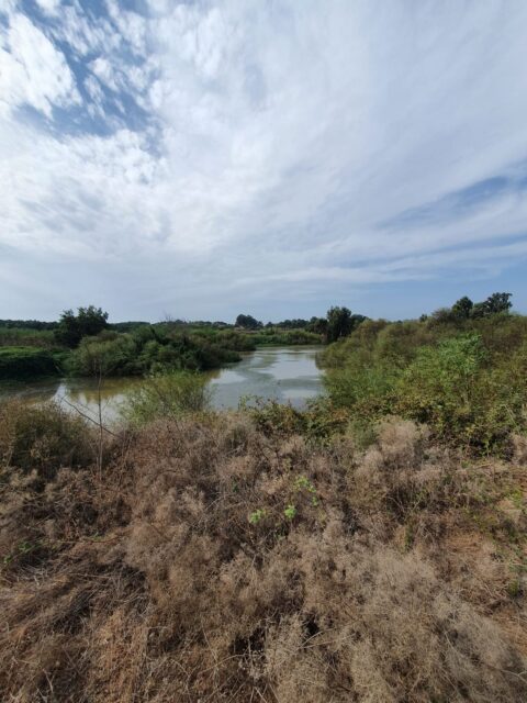 Lake Udim - Tripping in Israel